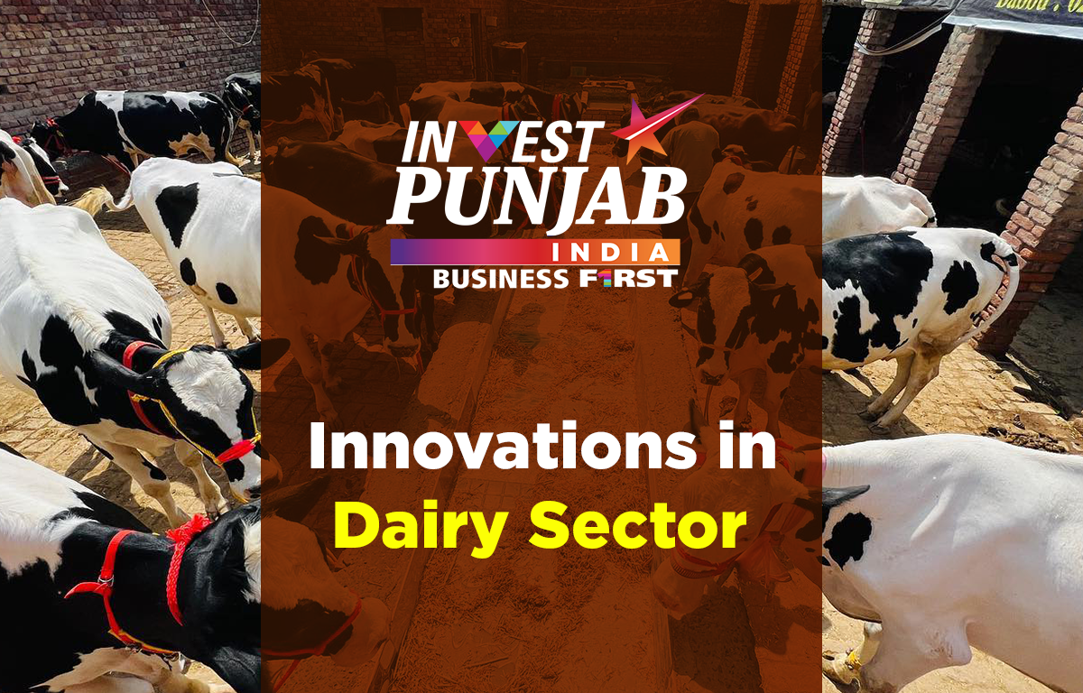 Innovations in Dairy Sector – Invest Punjab Blogs